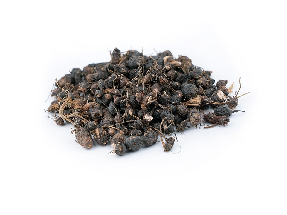 Cypriol Æterisk Olie ØKO | Nagarmotha | Bundnote